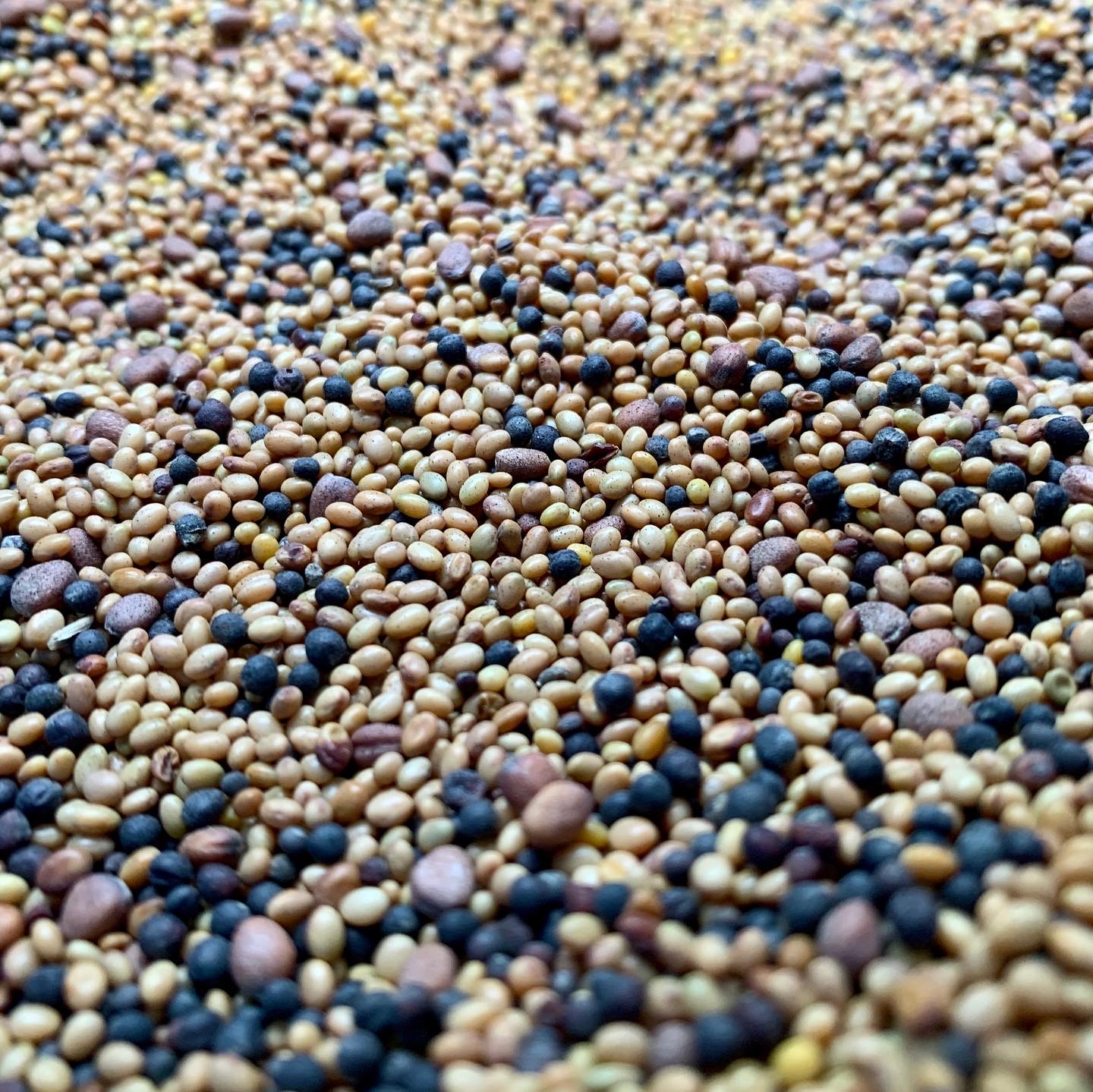 Shop - Wildlife Nurseries & Seed