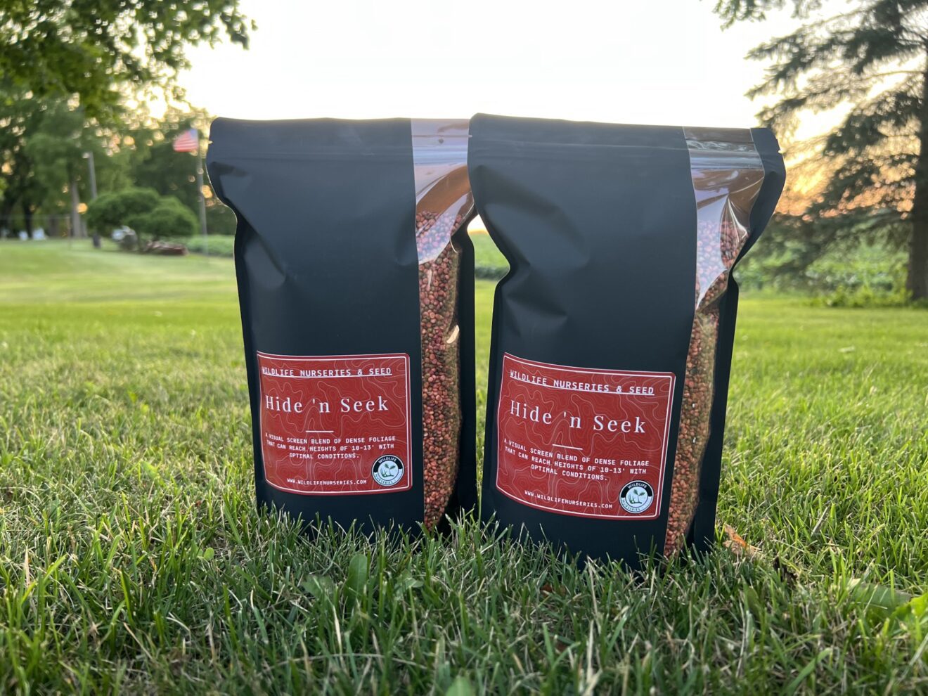 Hide n’ Seek – Screen Blend - Wildlife Nurseries & Seed