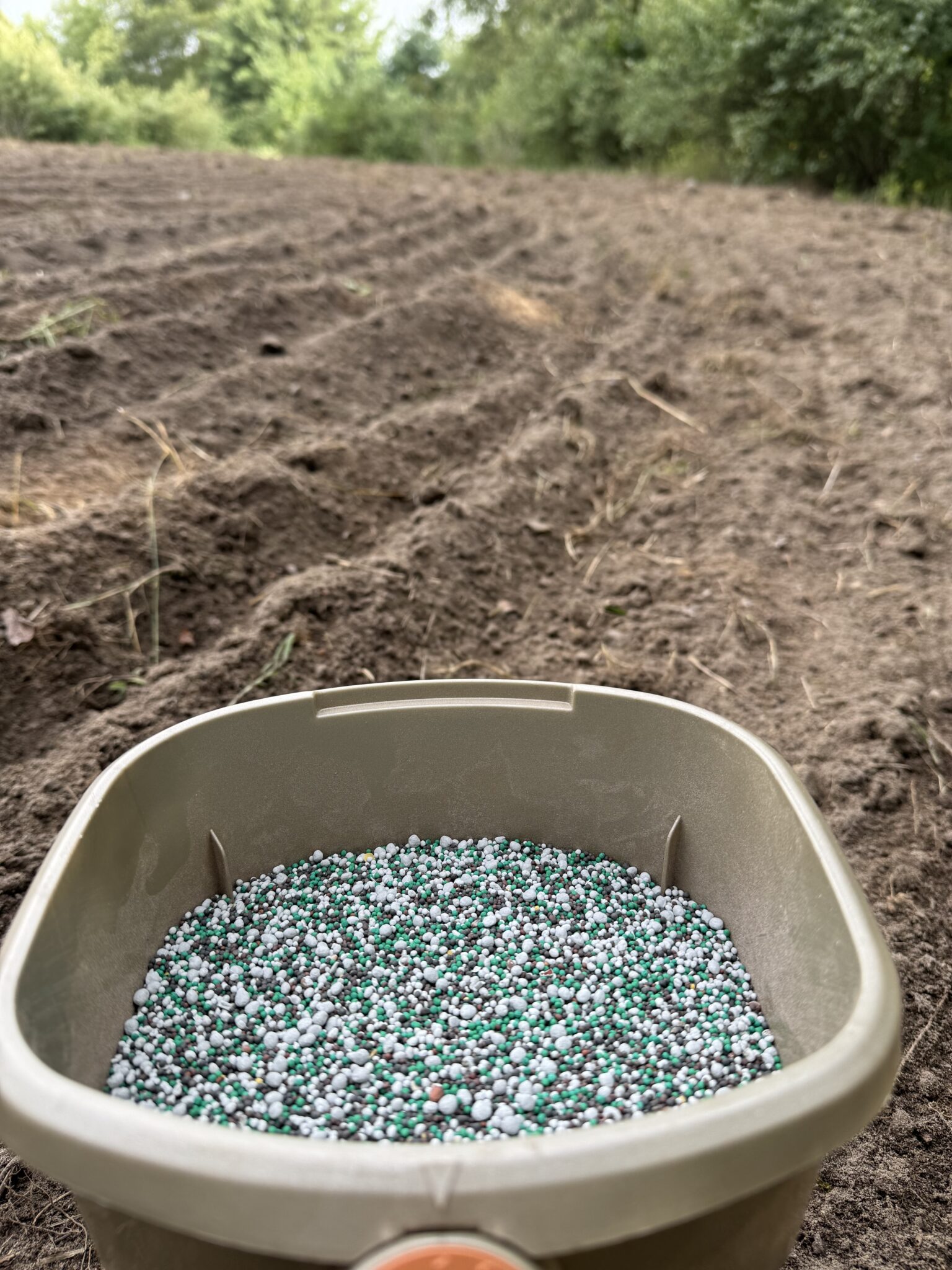 Whitetail Forage Greens Wildlife Nurseries & Seed