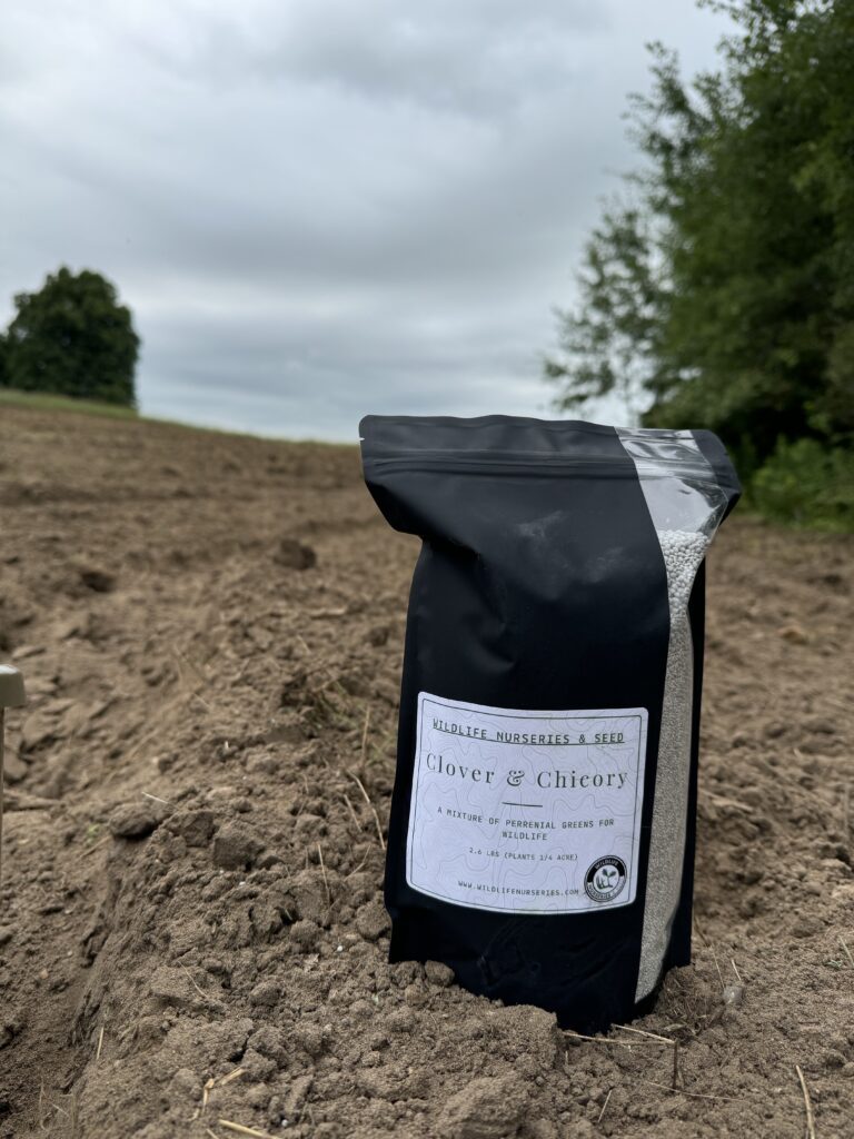 Clover & Chicory - A clover & chicory seed blend.